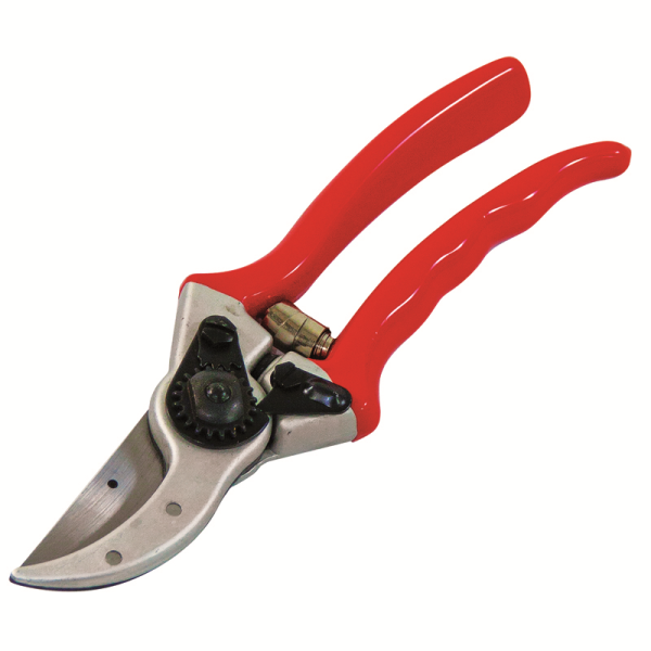 Ash Stainless Steel Digging Spade - CFM Country Store